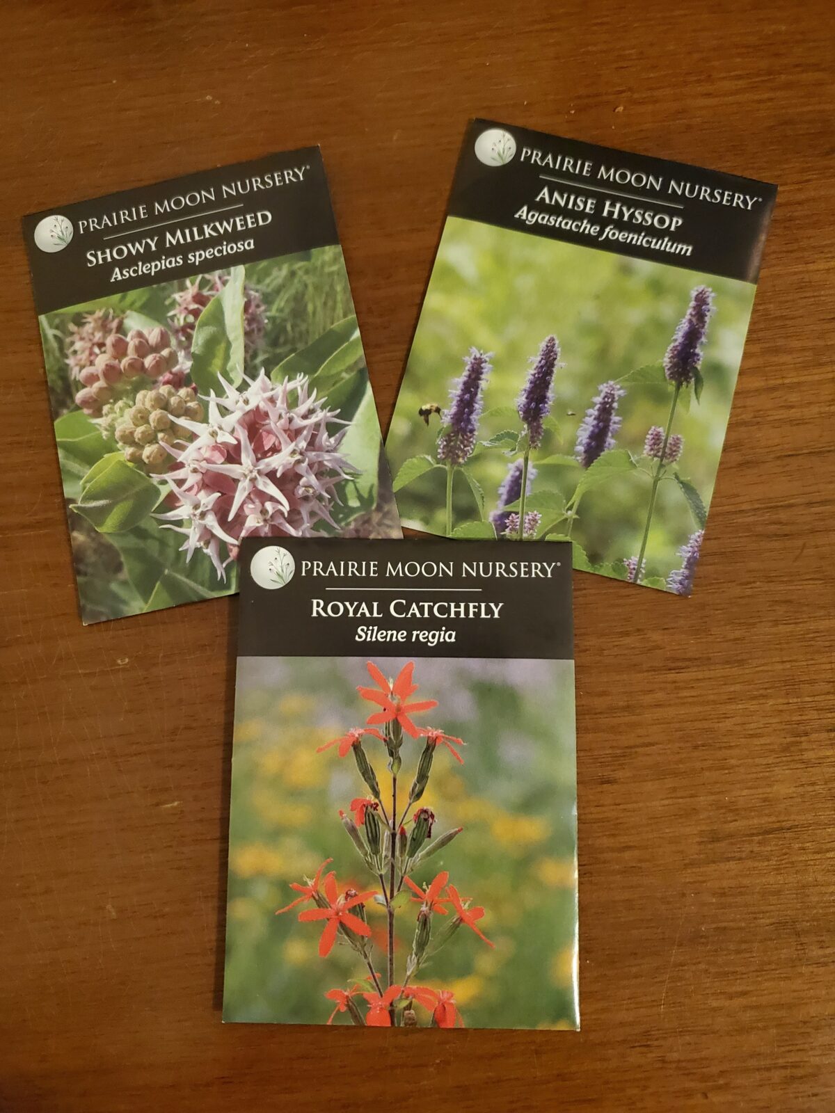 Planting native seeds in late Fall – Garden Bite